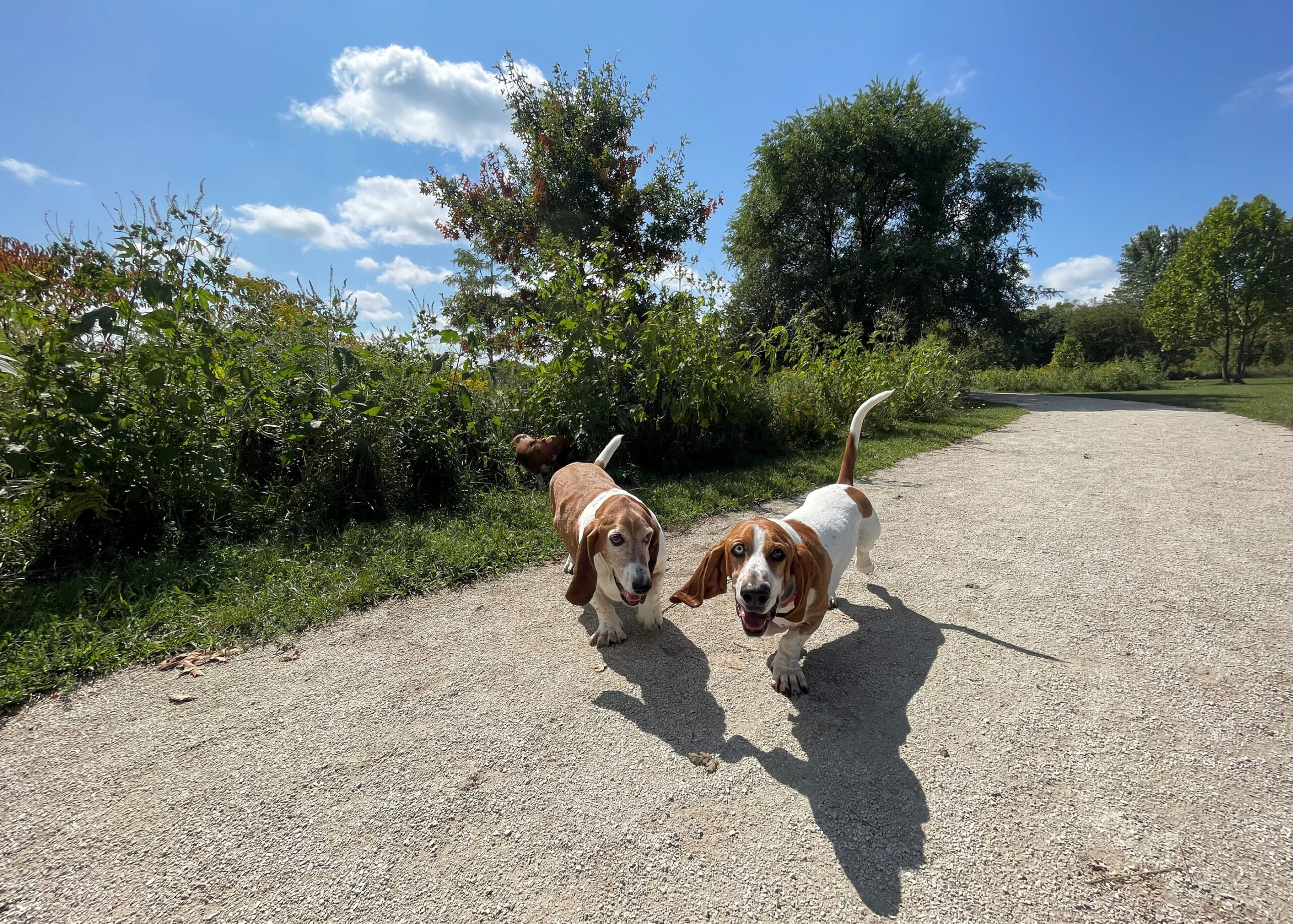 Meet the Team: Julie Bartocci – COBU-ARCH